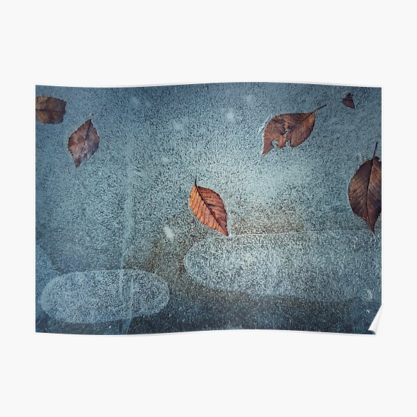 "fallen leaves frozen in a puddle" Poster for Sale by psychoshadow ...