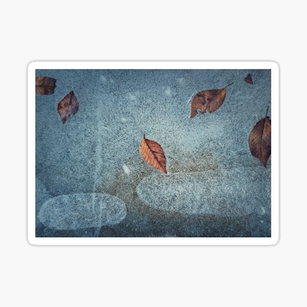 "fallen leaves frozen in a puddle" Sticker for Sale by psychoshadow ...