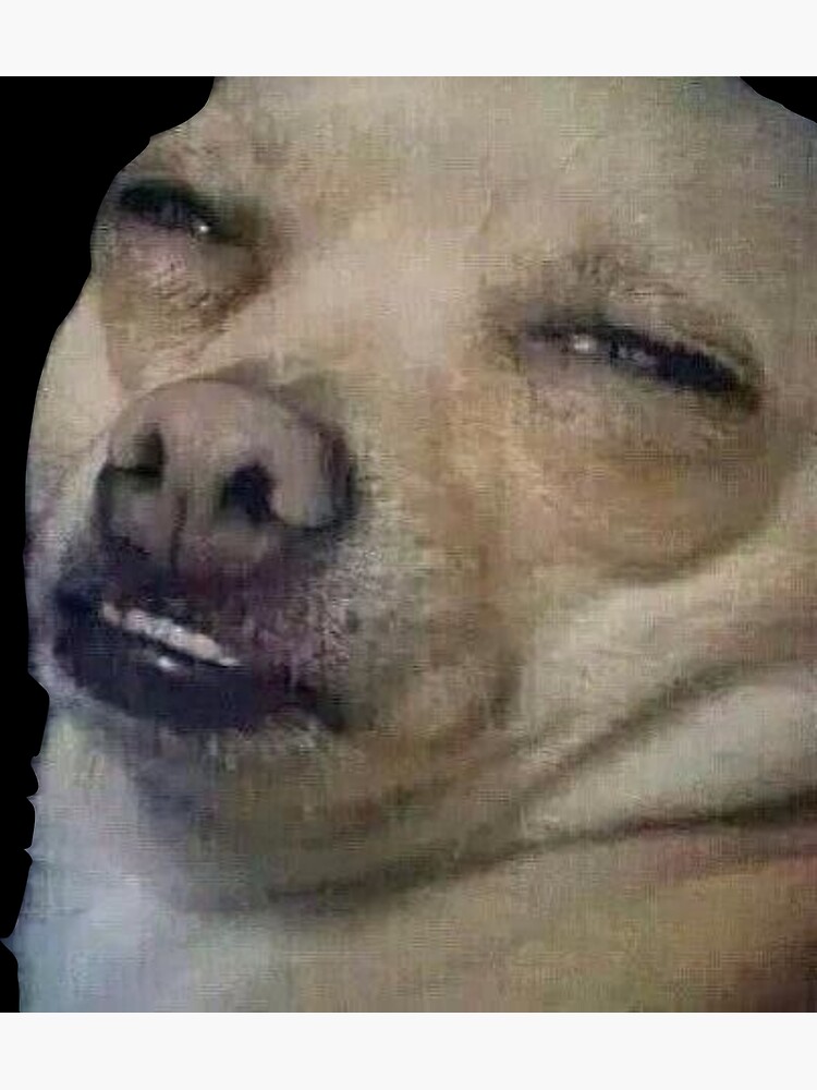 "Dog meme" Poster by los-memes | Redbubble