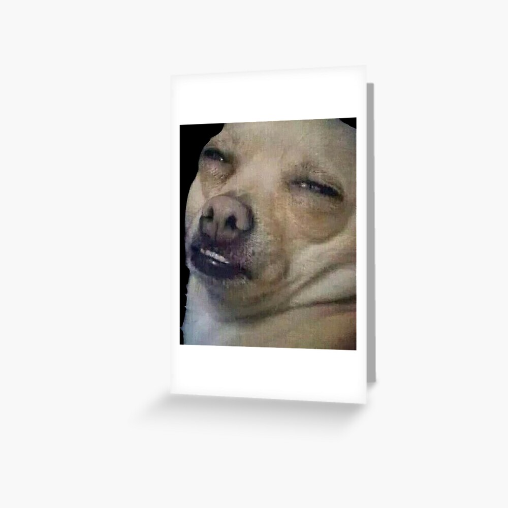 "Dog meme" Greeting Card by los-memes | Redbubble