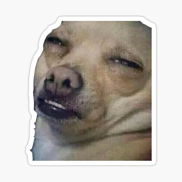 "Dog meme" Sticker by los-memes | Redbubble