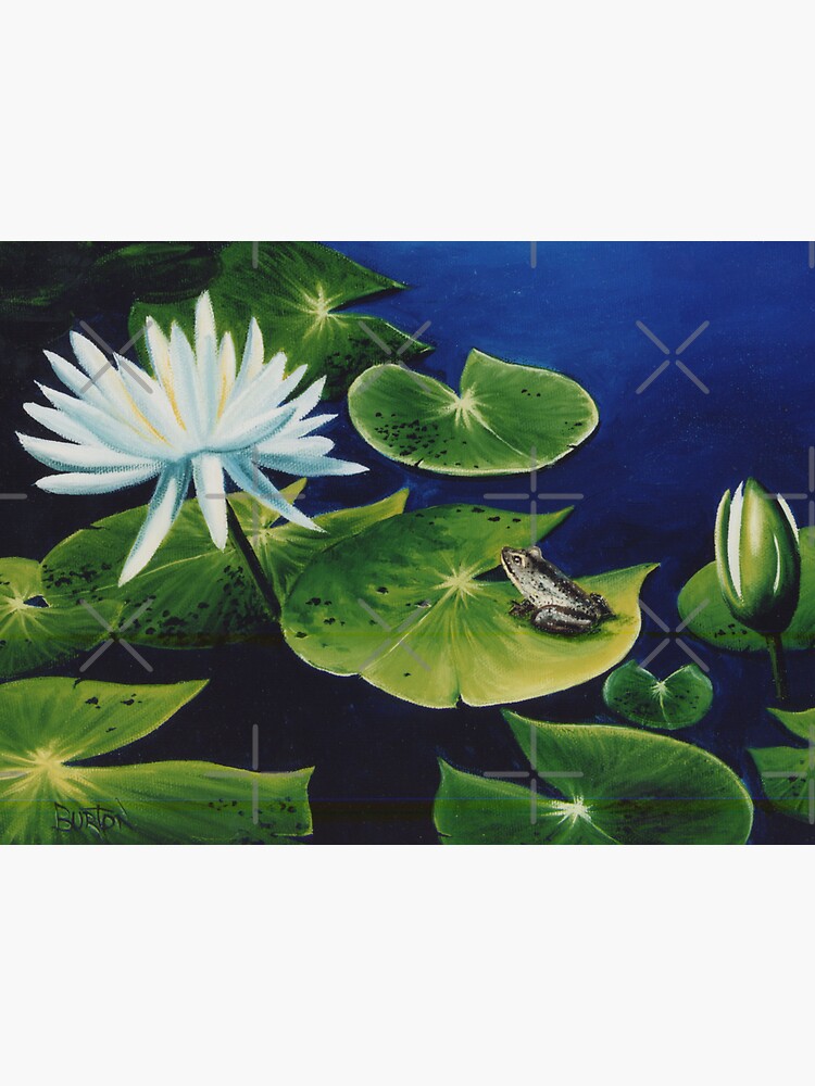 "Serinity" Sticker by LensArtaz | Redbubble