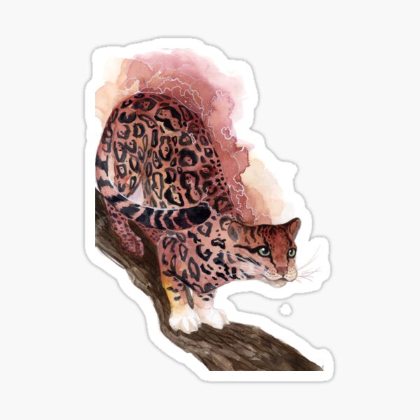 "Watercolor Ocelot" Sticker by Threeleaves | Redbubble