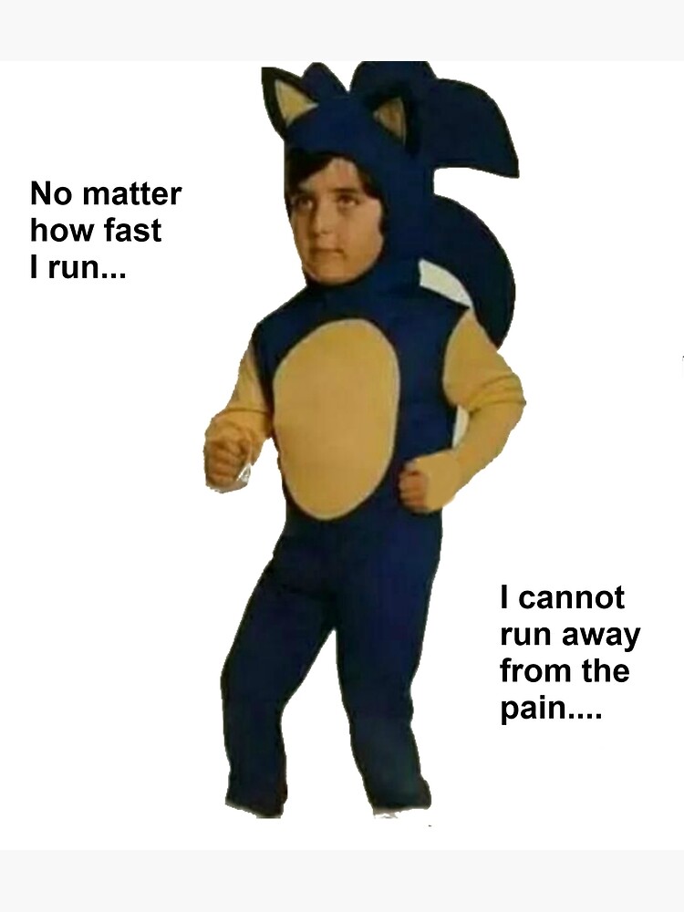 ""The Pain" Sonic" Poster for Sale by Coldphaze | Redbubble