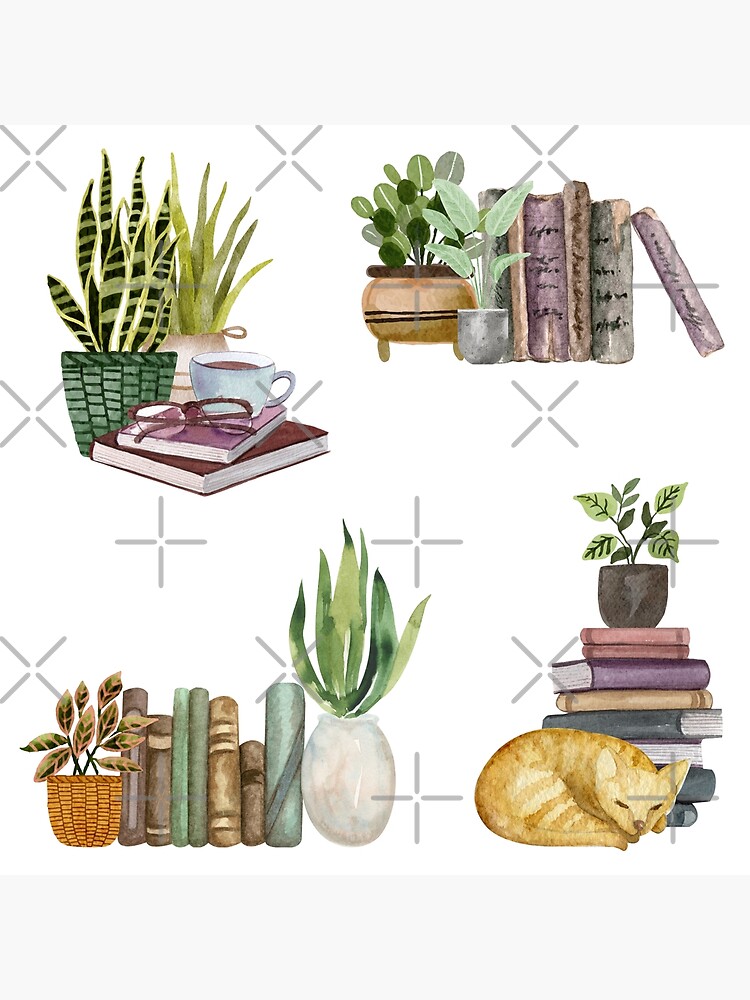 "Farmhouse Cottage Bookshelf and Potted Plants - Aesthetic Books Design ...