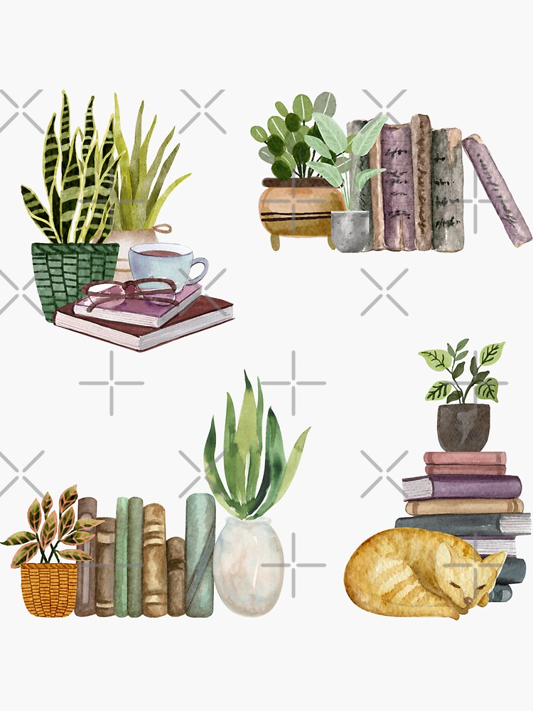 "Farmhouse Cottage Bookshelf and Potted Plants - Aesthetic Books Design ...