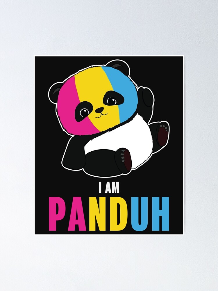 "Pansexual Pride Flag I Am A Pan-duh" Poster for Sale by ...