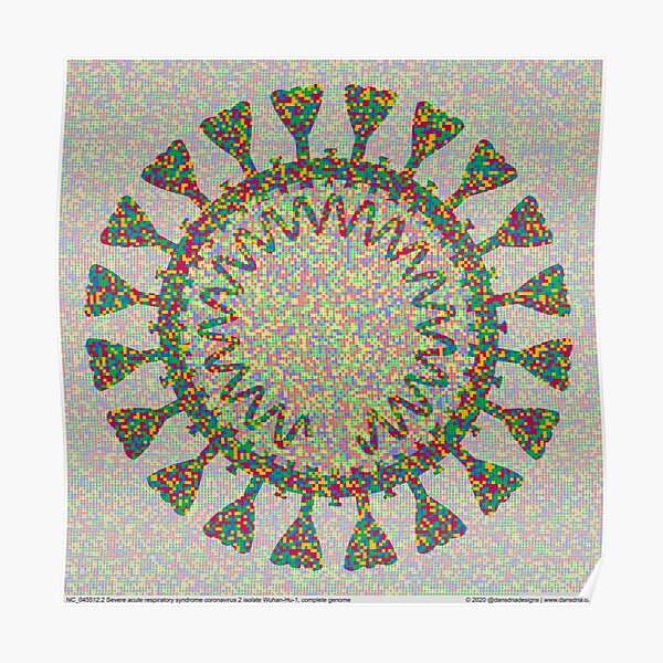 "SARS-CoV-2 (COVID-19)" Poster for Sale by dansdna | Redbubble