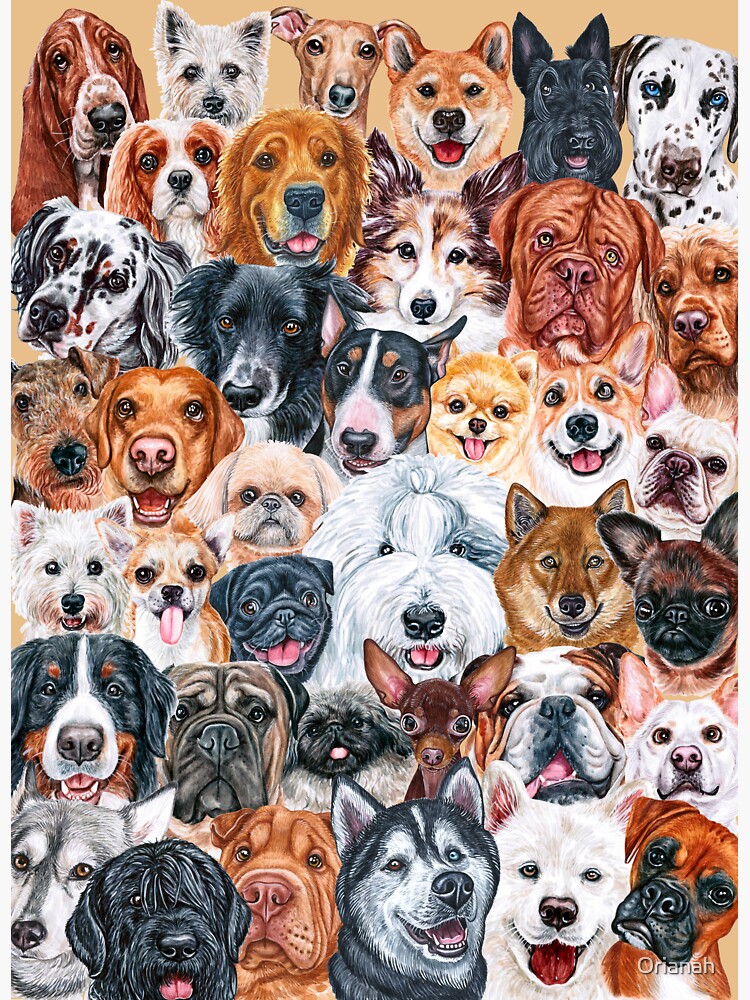 Pegatina «Hermoso collage de perros, tantas caras hermosas pintadas ...