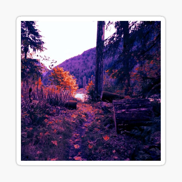 "Amazing Forest and Mountains View" Sticker for Sale by SadabDesign ...