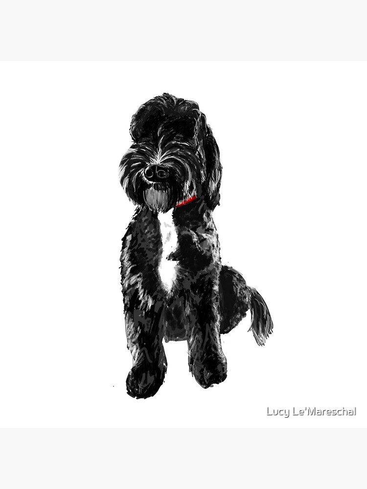 "Black Cockapoo" Sticker for Sale by Luceeloo | Redbubble