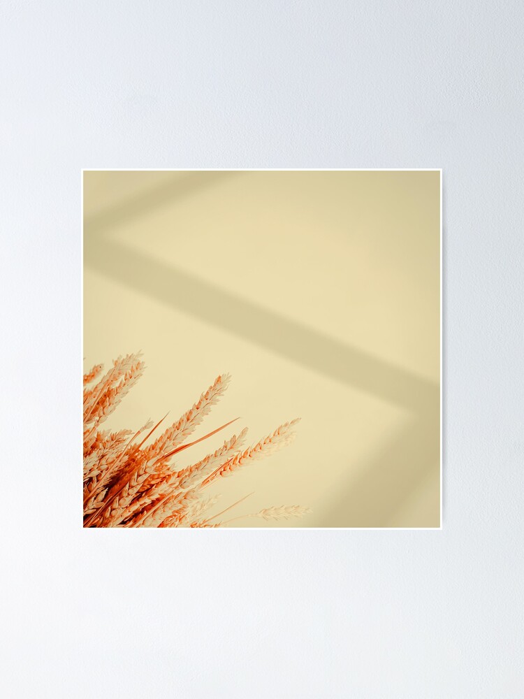 "Background Paddy" Poster by AthanaStore | Redbubble