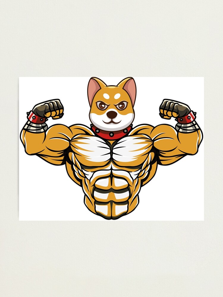 "Muscle Shiba Inu- Bodybuilding, Fitness, Powerlifting, Crossfit ...