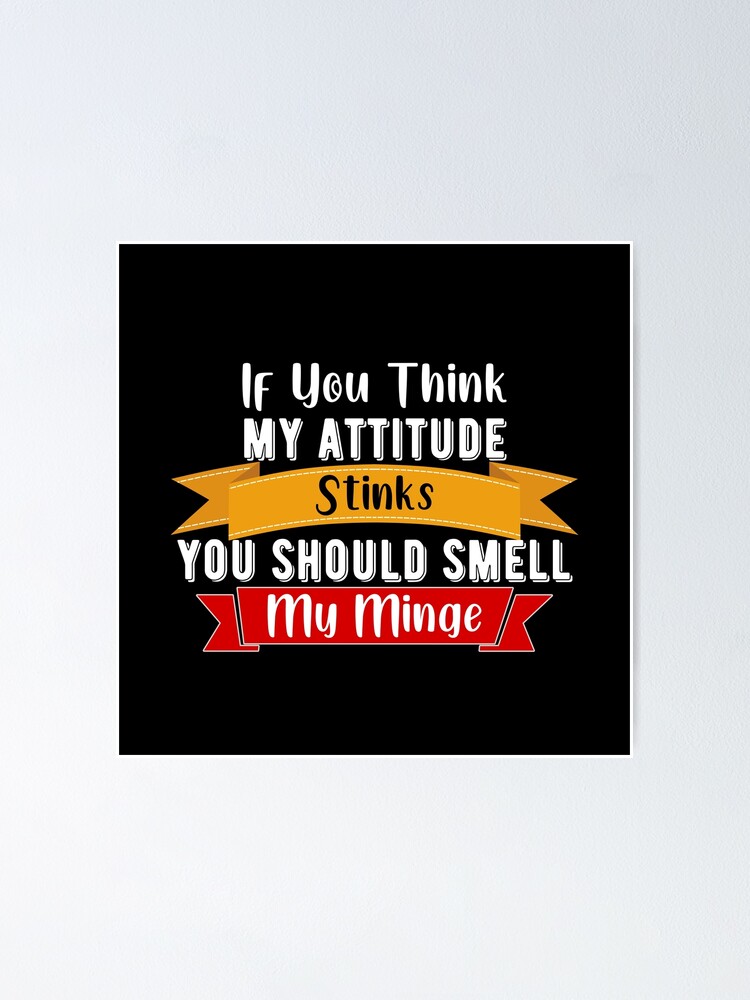 "If You Think My Attitude Stinks You Should Smell My Minge, Funny silly ...