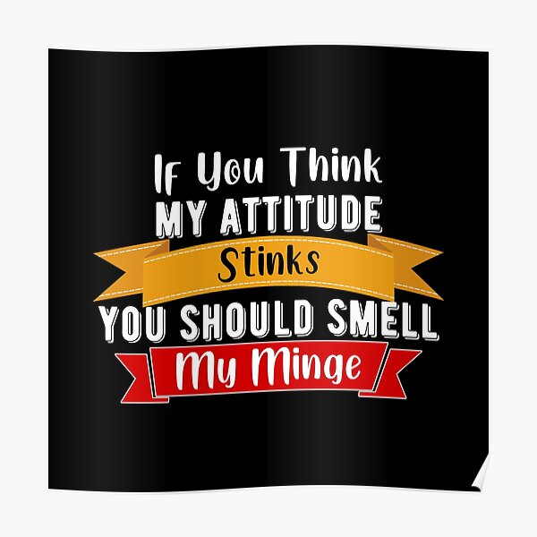 "If You Think My Attitude Stinks You Should Smell My Minge, Funny silly ...