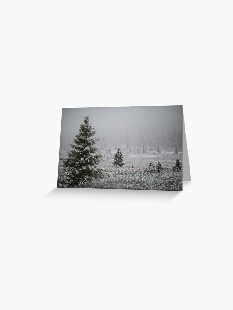 "Banff National Park - Snow Forrest" Greeting Card for Sale by tjbphoto ...