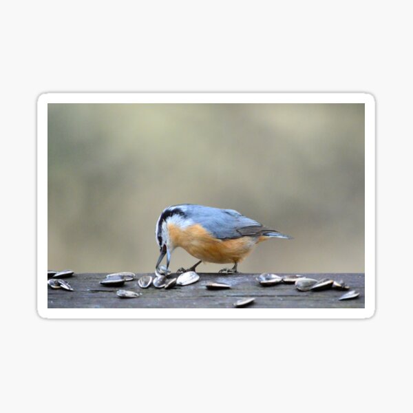 "Suppertime" Sticker for Sale by LaurieMinor | Redbubble