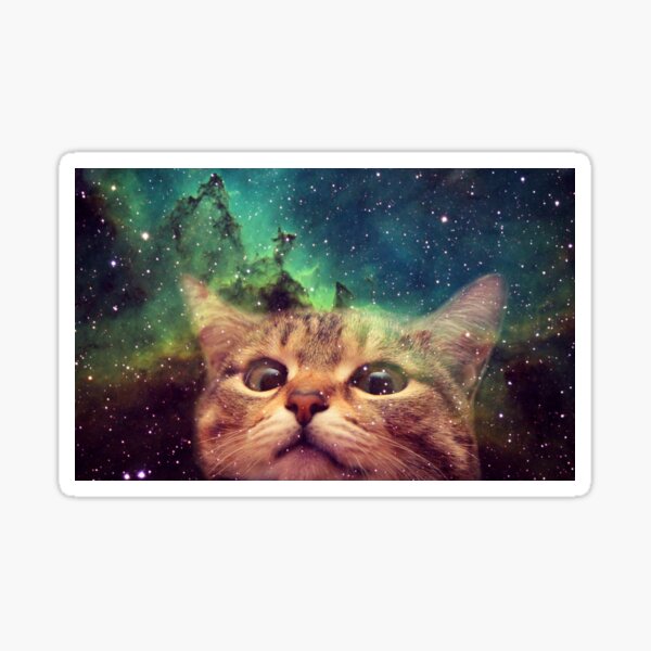 "Cat Pfp in space" Sticker for Sale by SYZYGYARTSTYLE | Redbubble