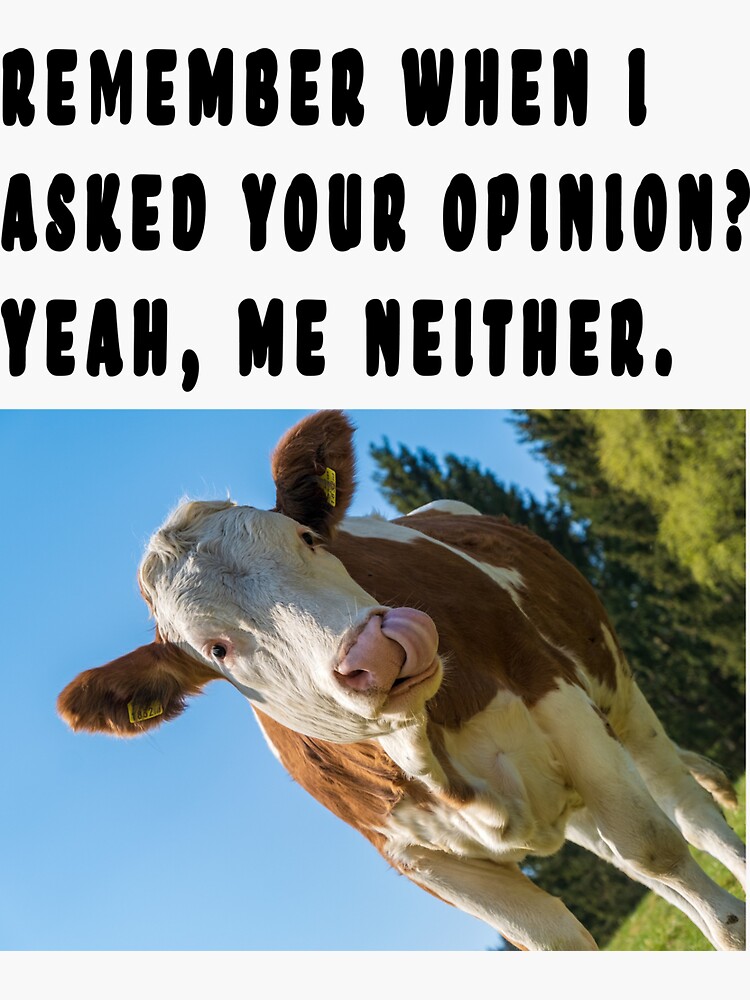 "REMEMBER WHEN I ASKED YOUR OPINION? YEAH, ME NEITHER." Sticker for ...