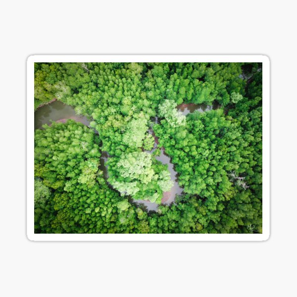"A river winding through mangroves" Sticker for Sale by MatthewLock ...