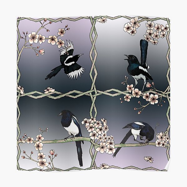 "Four Magpies" Poster for Sale by WildBirdArt | Redbubble