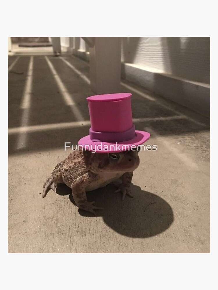 "Tiny Frogs Love Wearing Hats" Sticker by Funnydankmemes | Redbubble