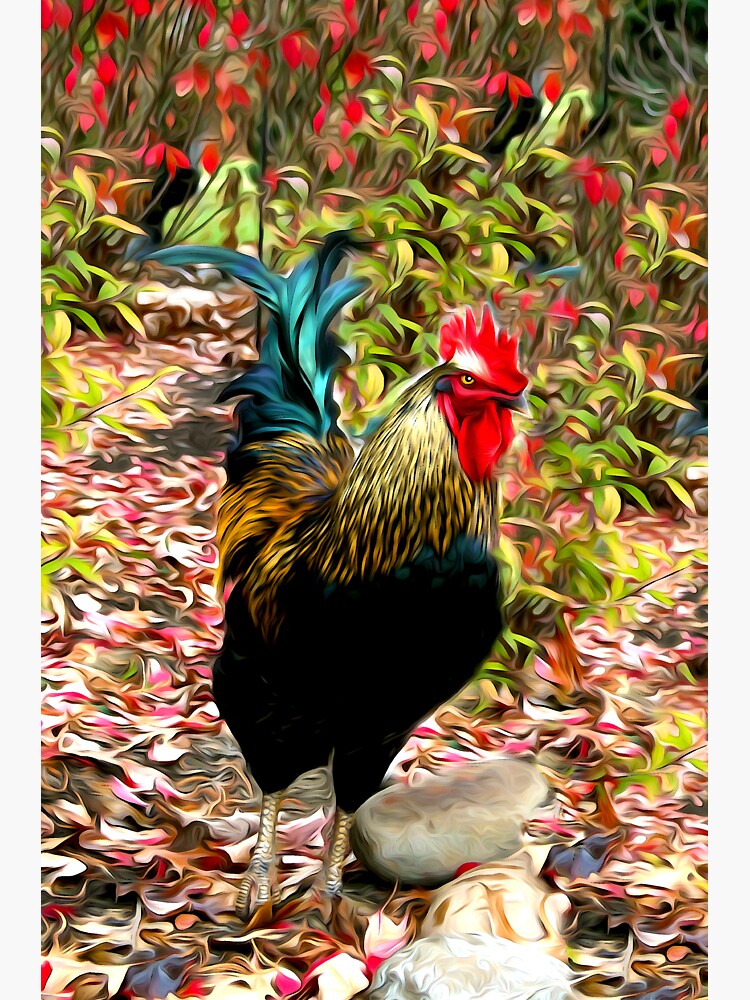 "Mad Rooster" Sticker for Sale by Sandrasketches | Redbubble