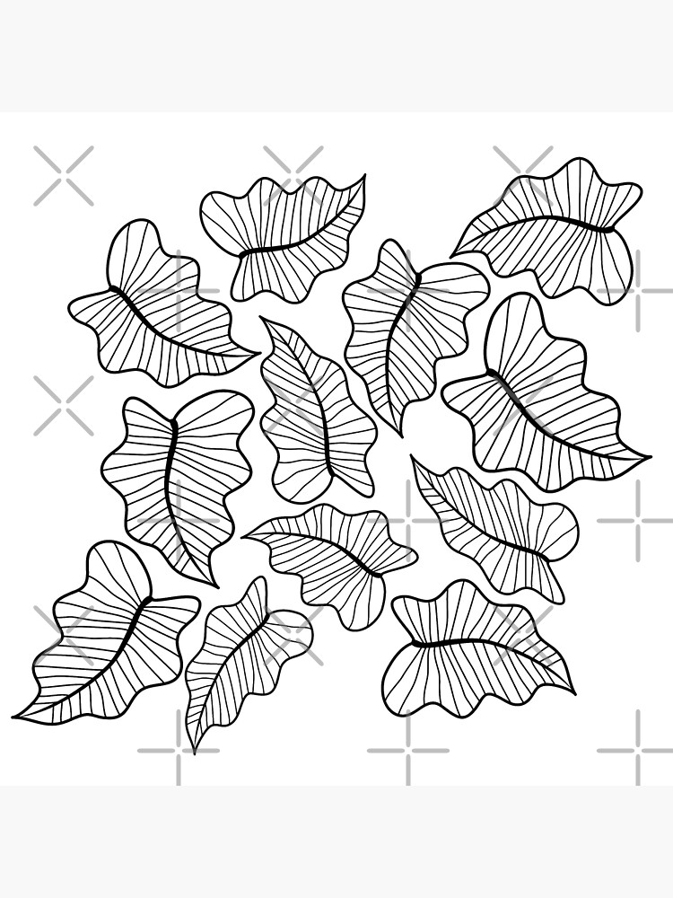 Póster «Hoja grande tropical en blanco y negro» de Elfinova | Redbubble