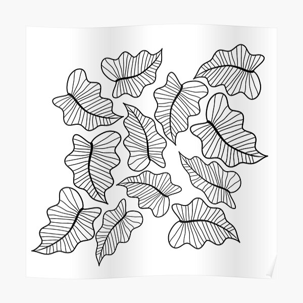 Póster «Hoja grande tropical en blanco y negro» de Elfinova | Redbubble