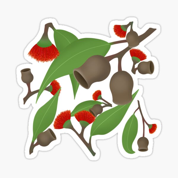 "Gum Nuts and Red Gum Flowers" Sticker for Sale by BundaBear | Redbubble