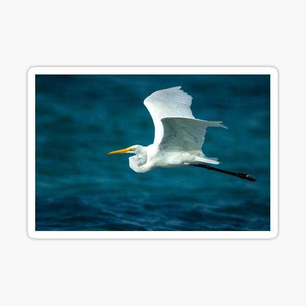 "Crane bird in flight" Sticker by AzRedB | Redbubble