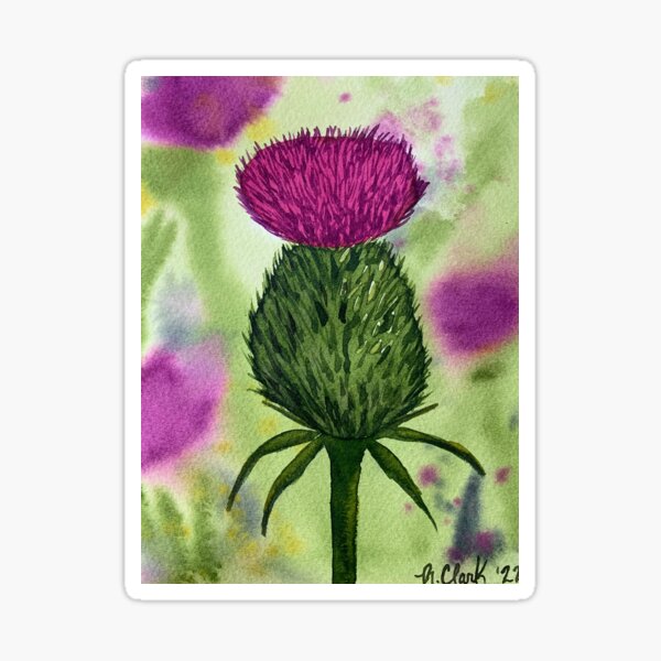 "Thistle" Sticker by RebeccaClarkArt | Redbubble