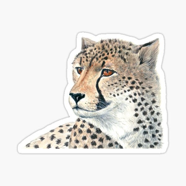 Sticker: Gepard Pelz | Redbubble