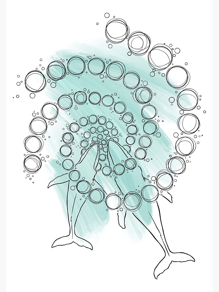 "Humpback Bubble Net Illustration" Poster for Sale by dropintheocean ...