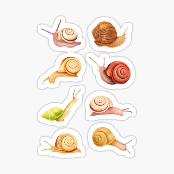 "Slippery Snails" Sticker for Sale by ReadytoWork | Redbubble