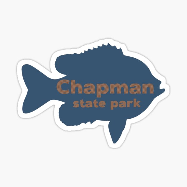 Dcnr Merch & Gifts for Sale | Redbubble