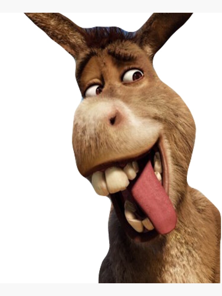 "Donkey from Shrek" Apron for Sale by Azamat Amantay | Redbubble