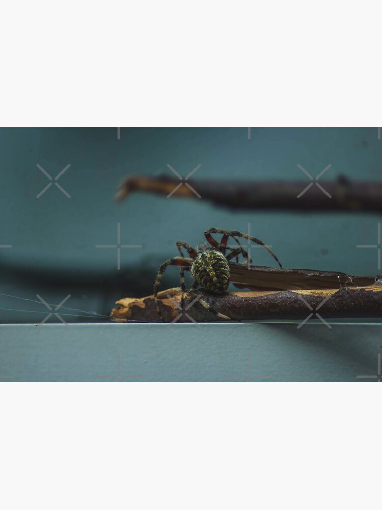 "Ms. Muffet" Sticker for Sale by Ronnie1030 | Redbubble