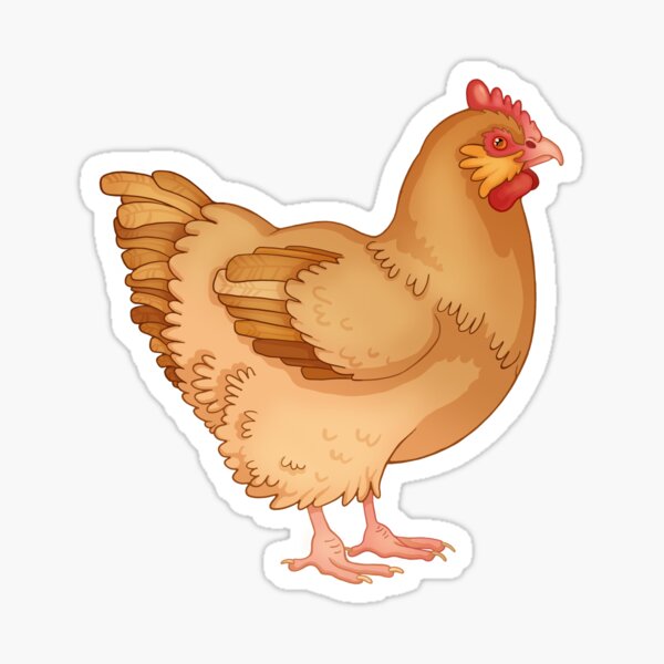 "Buff Orpington Chicken" Sticker for Sale by Puddmuppy | Redbubble