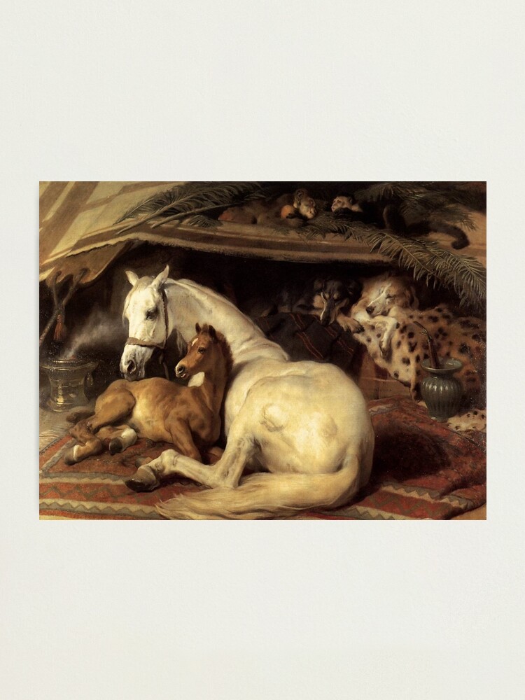 "Sir Edwin Henry Landseer's The Arab Tent" Photographic Print by ...
