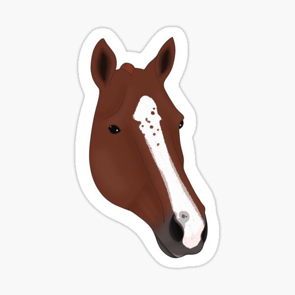 "Freckled Chestnut Horse" Sticker by Bridgethendy | Redbubble