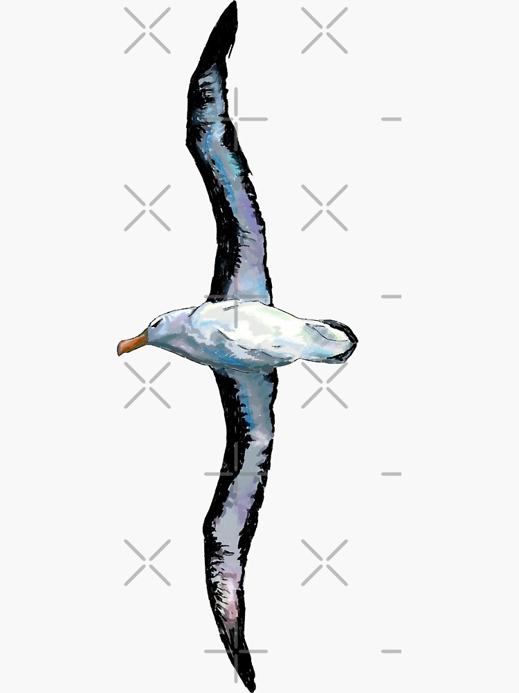 "Albatros" Sticker for Sale by Animalista | Redbubble