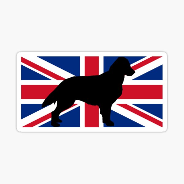Akc Stickers | Redbubble
