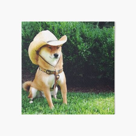 "What in Tarnation Dog" Art Board Print for Sale by FlashmanBiscuit ...