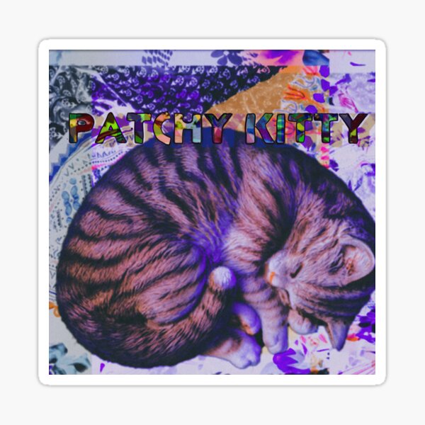 "Patchy kitty" Sticker for Sale by Resdfg1234 | Redbubble