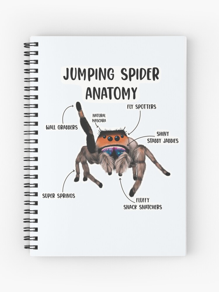 "Jumping Spider Anatomy" Journal for Sale by Spinyflowerart | Redbubble