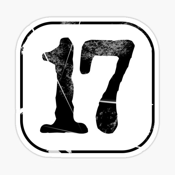 "Classic Retro 17 Vintage Racing Car Number Boxed" Sticker for Sale by ...