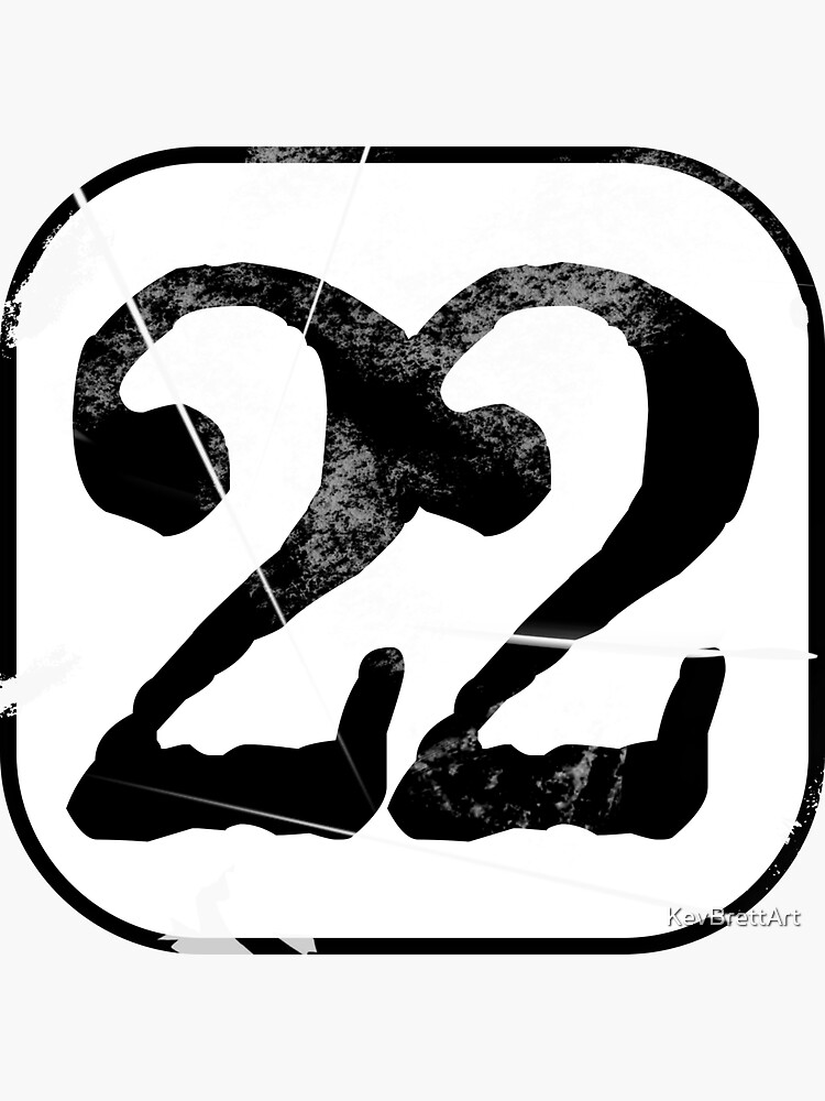 "Classic Retro 22 Vintage Racing Car Number Boxed" Sticker for Sale by ...