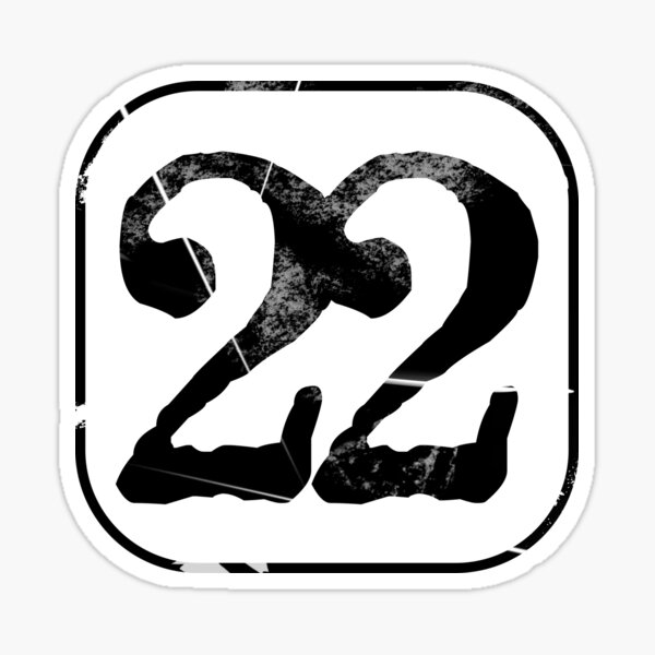 "Classic Retro 22 Vintage Racing Car Number Boxed" Sticker for Sale by ...