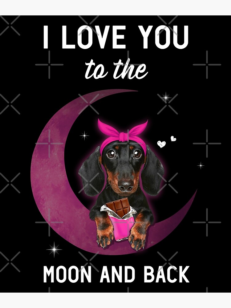 "Cute Valentines Dachshund Couple Wiener Dogs Puppy In Love His Her ...